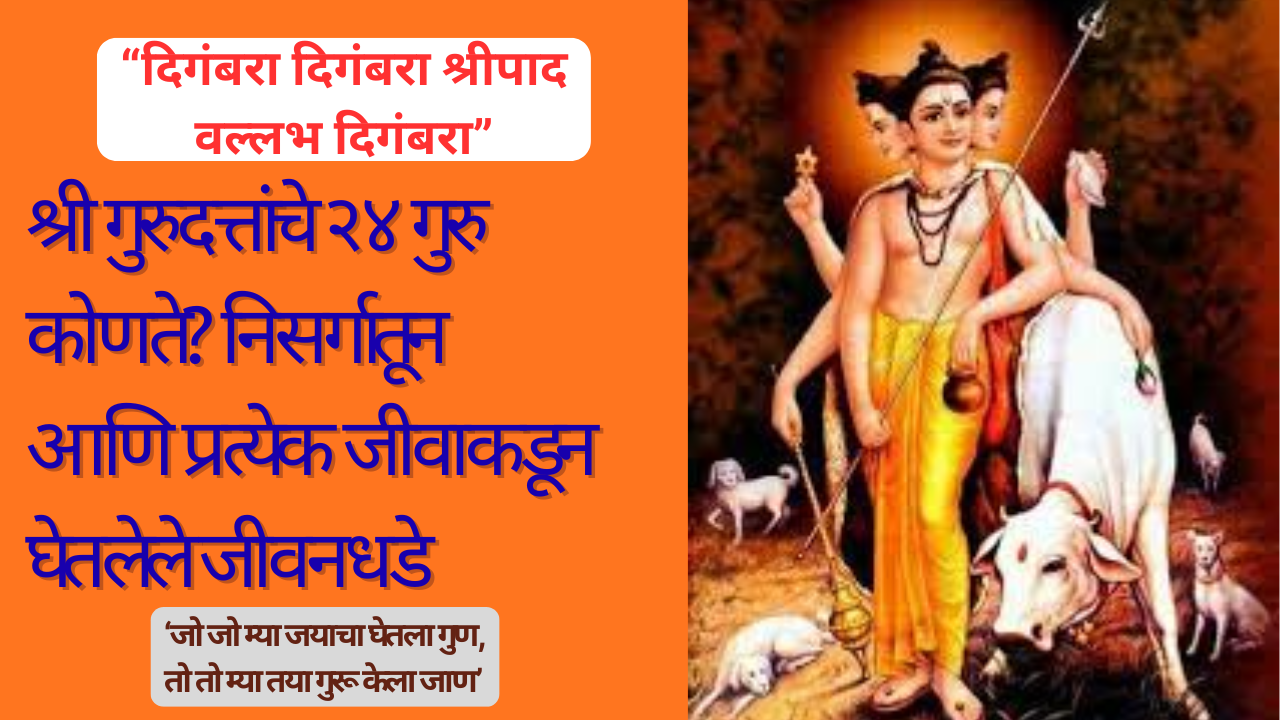 Dattatreya 24 Gurus Marathi: श्री गुरुदत्तांचे २४ गुरु कोणते? निसर्गातून आणि प्रत्येक जीवाकडून ...